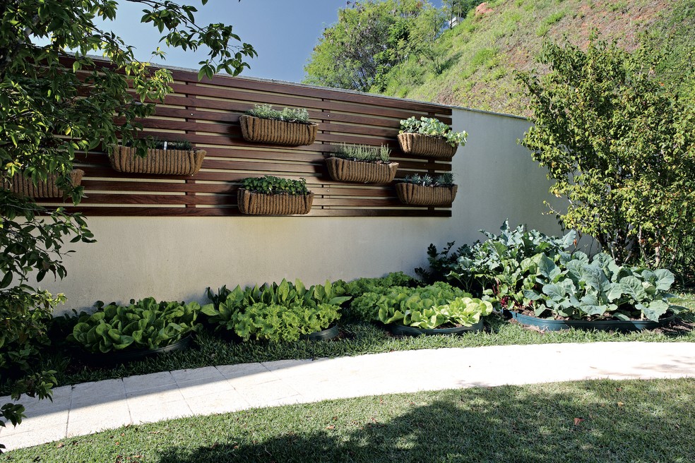 Ideias de horta suspensa: confira 10 inspirações para ter uma em casa!