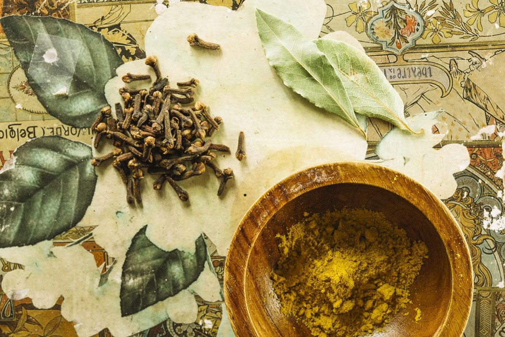 Cravo-da-índia: como cultivar a planta conhecida desde a Antiguidade