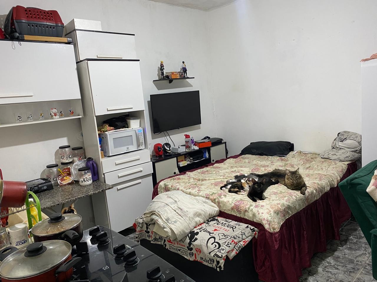 Paulista compartilha como é viver em um cômodo de 16 m² com o noivo e ...