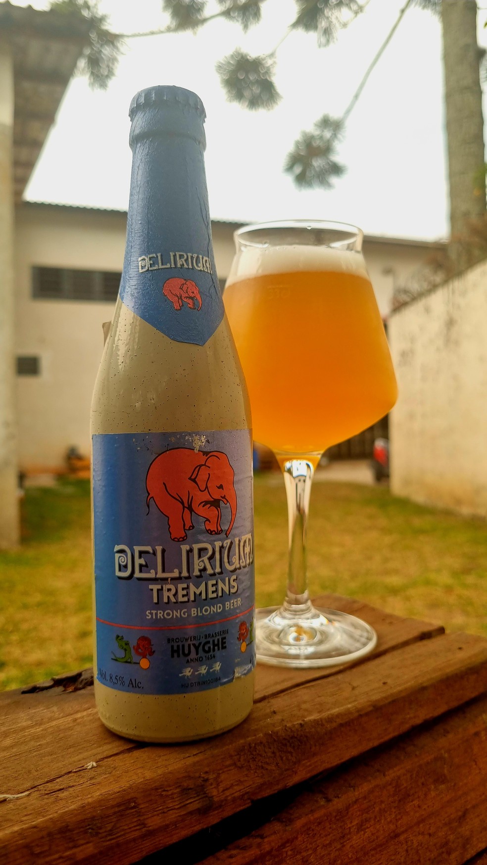 Conheça as 10 cervejas mais alcoólicas do mundo