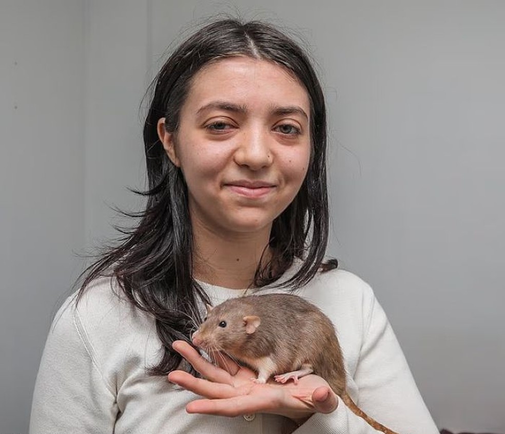 Garota de 18 anos ganha dinheiro na internet com venda de pinturas ...