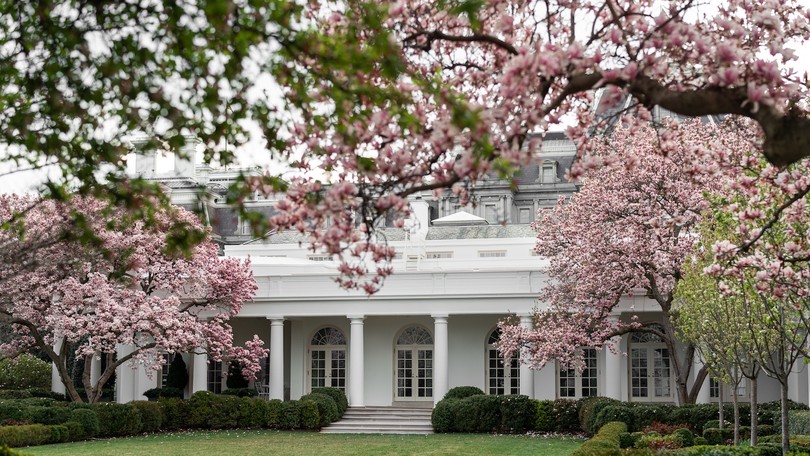 "Verde lésbico" e "vermelho bissexual": como trazer a tendência ao lar ...