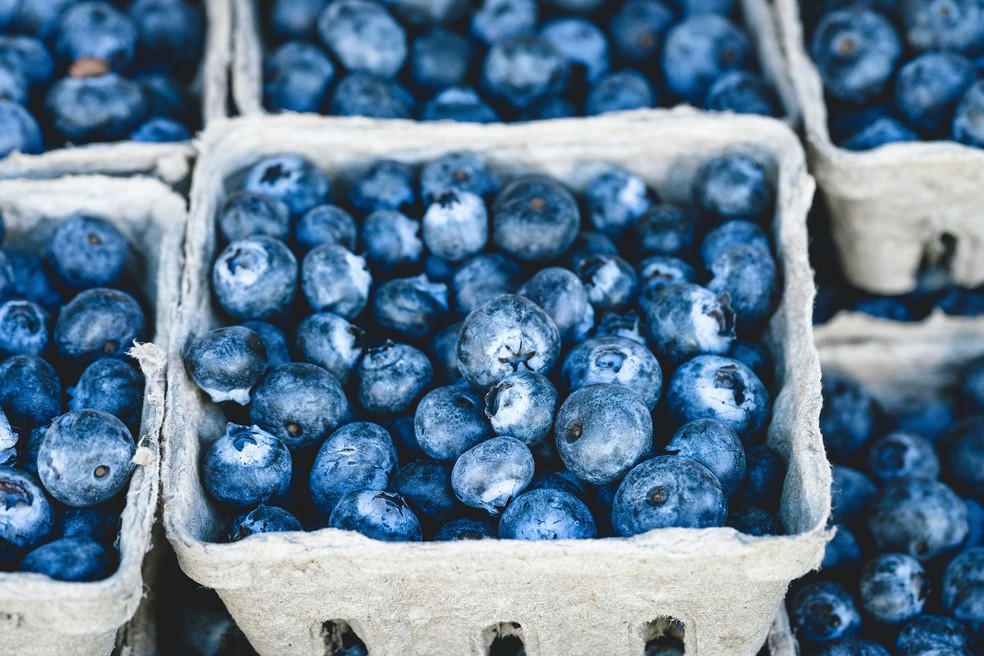 Mirtilo: tudo sobre a fruta azul, os benefícios e mais 7 receitas