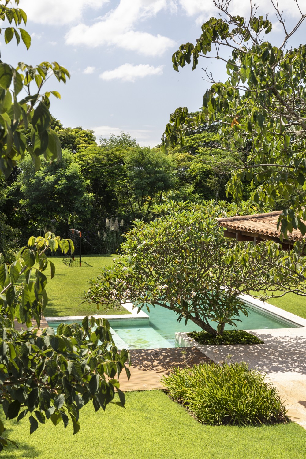 Jardinagem para iniciantes: 8 dicas para quem deseja começar!