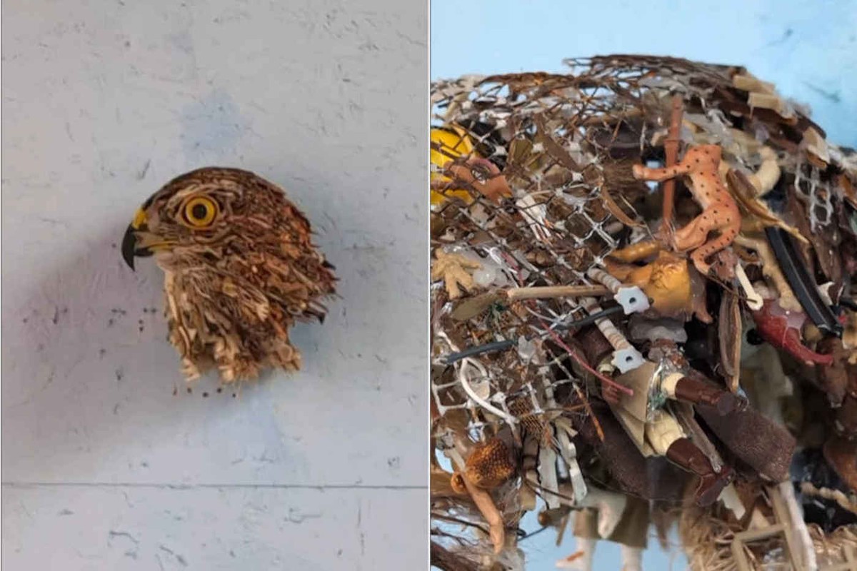 Americano transforma lixo em incríveis obras de arte tridimensionais