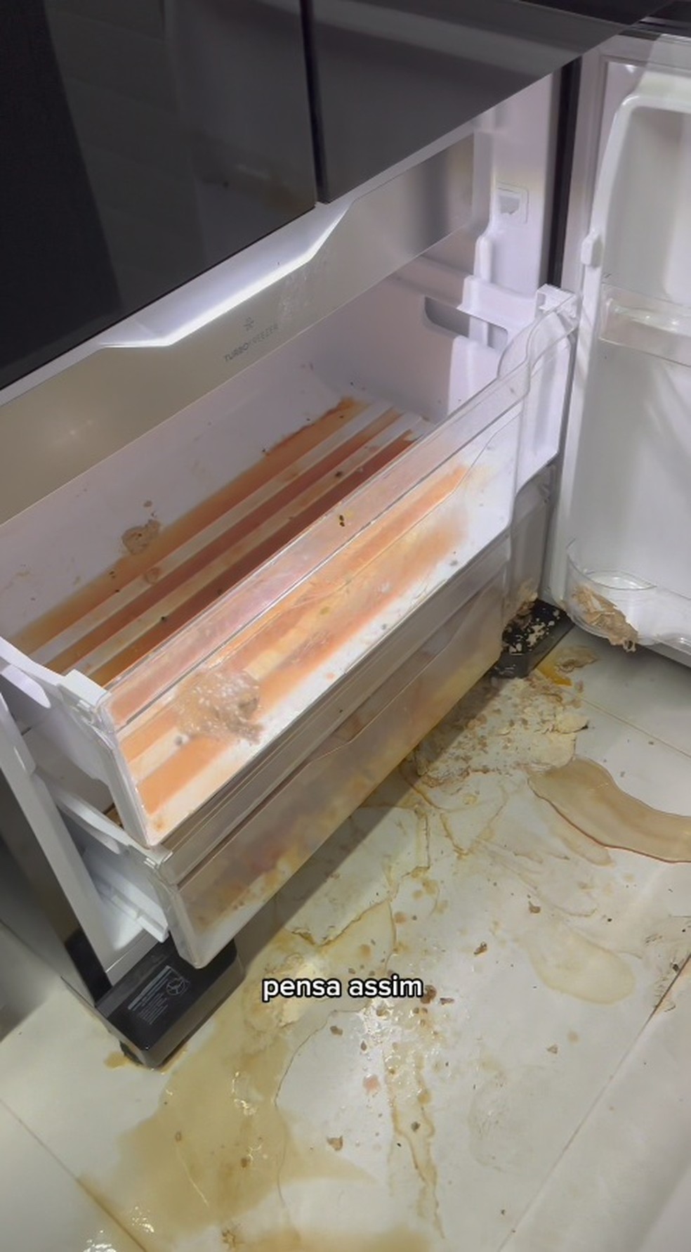Tiktoker esquece freezer aberto por 12 dias e deixa comidas estragarem ...
