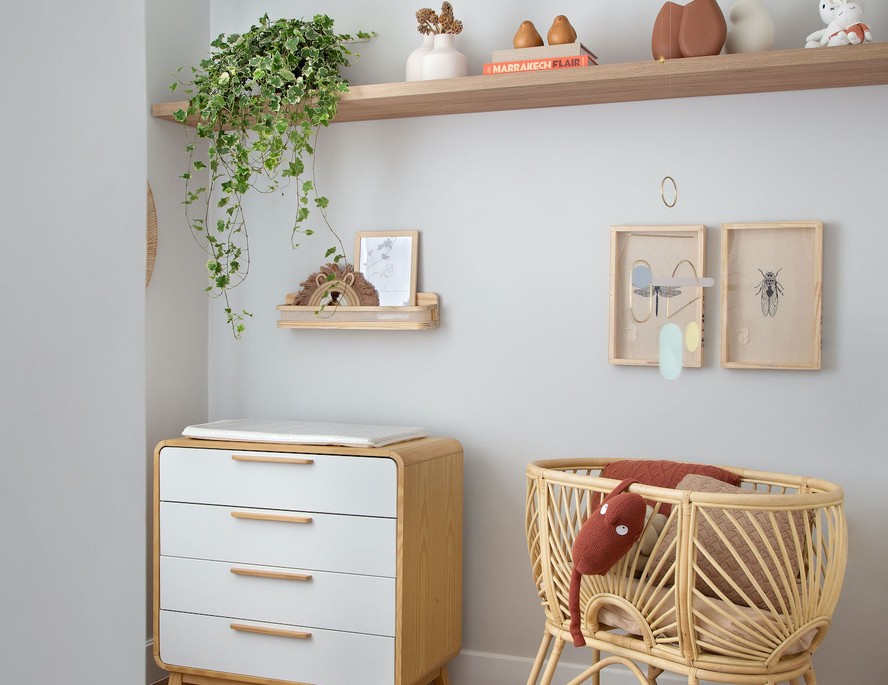 Saiba quais plantas podem ser colocadas no quarto do bebê | Paisagismo ...
