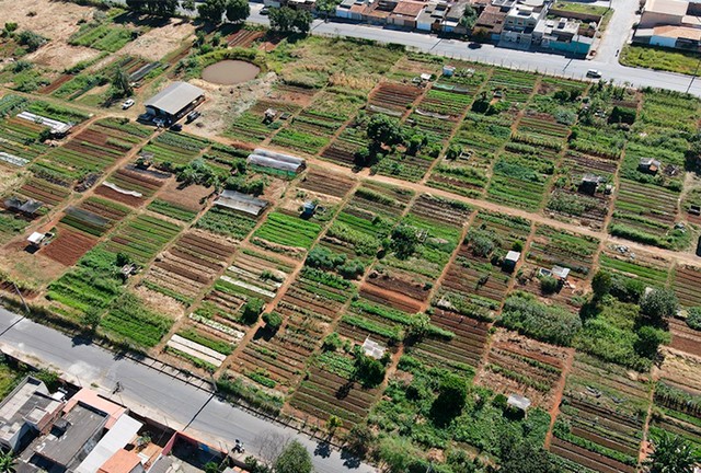 7 exemplos de hortas urbanas bem-sucedidas espalhadas pelo Brasil