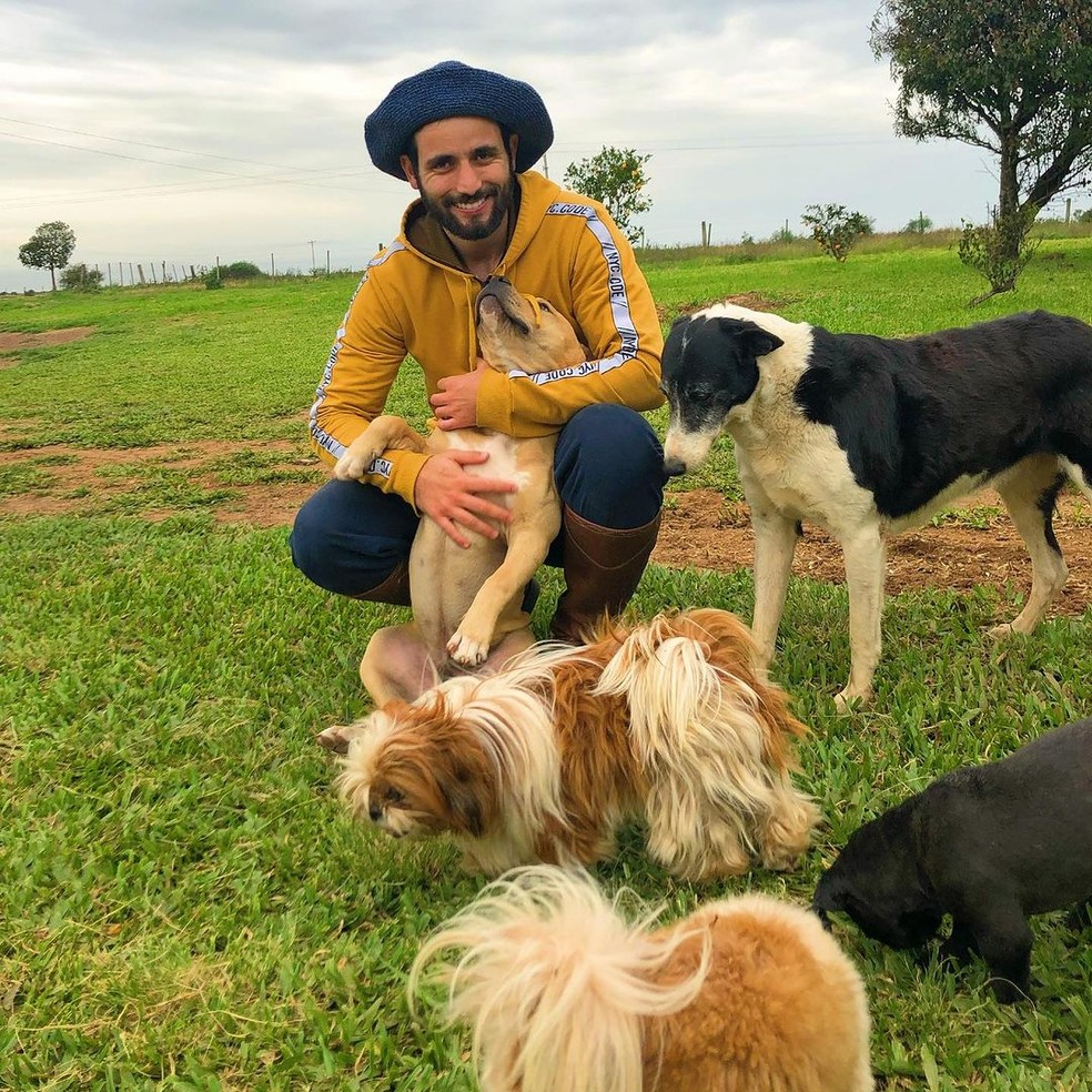 Gatos, cachorros e até cavalos: conheça os pets dos participantes do ...