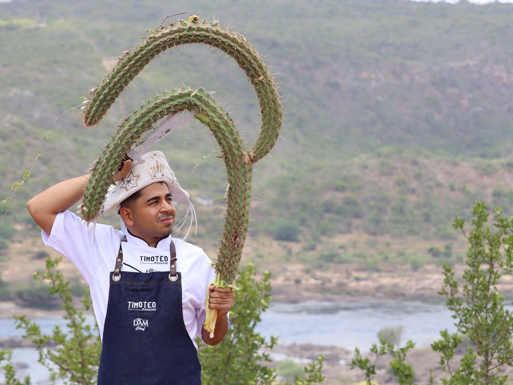 A gastronomia do chef Timoteo Domingos valoriza o uso de cactos