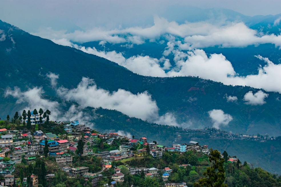 Darjeeling: saiba mais sobre a bebida tida como o “champanhe dos chás”
