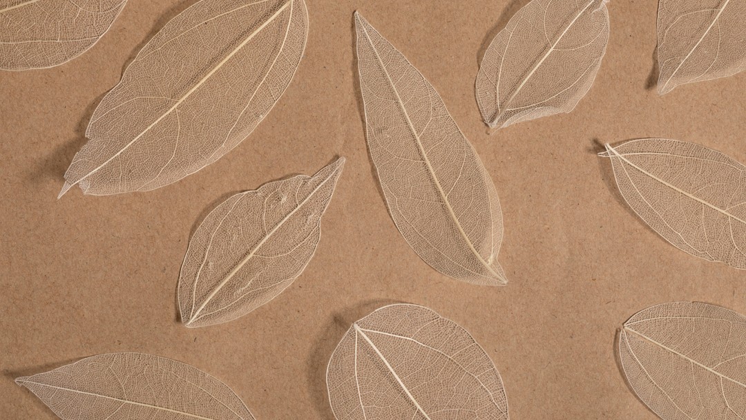 Casa de 538 m² é marcada por madeira, brises metálicos e paisagismo ...