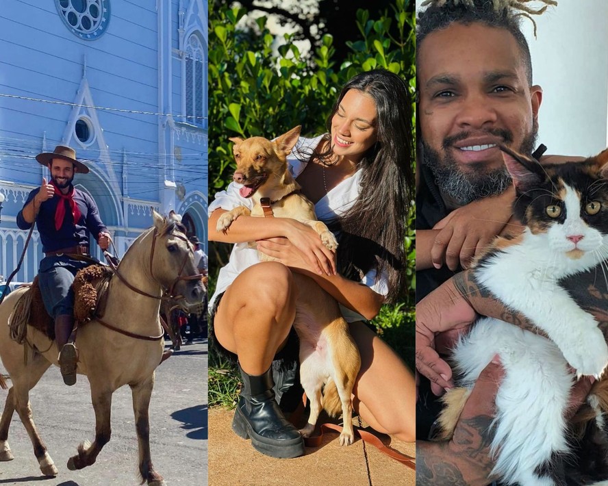 Gatos, cachorros e até cavalos: conheça os pets dos participantes do ...