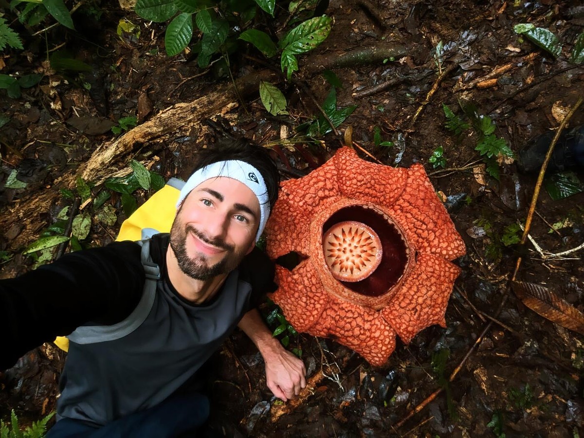 Botânico luta para salvar a maior flor do mundo, que cheira a carne ...