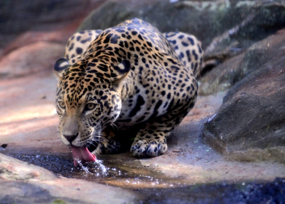 Destinos e atrações em SP para aproveitar o final das férias escolares ...