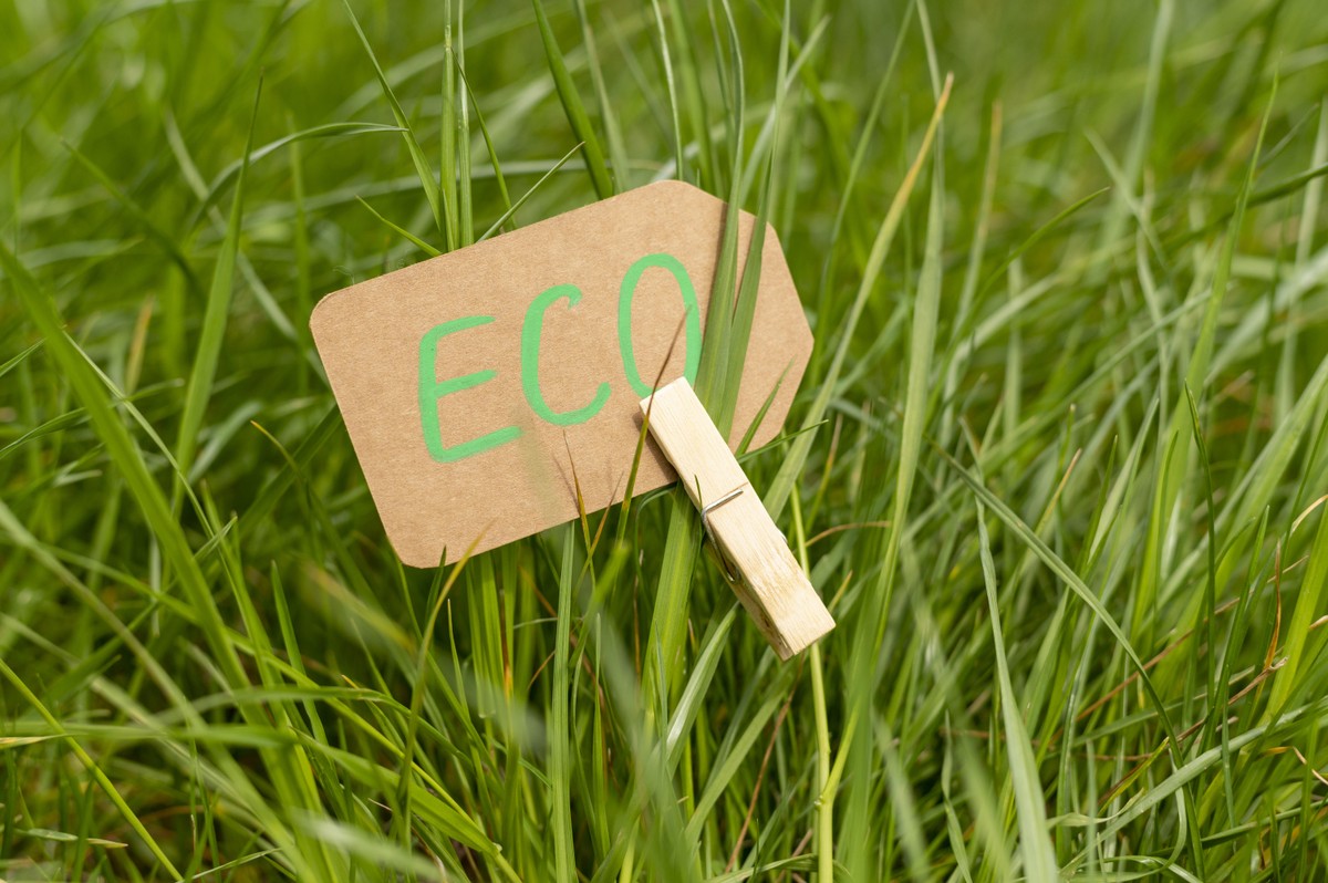 Greenwashing: o que significa e como ficar atento