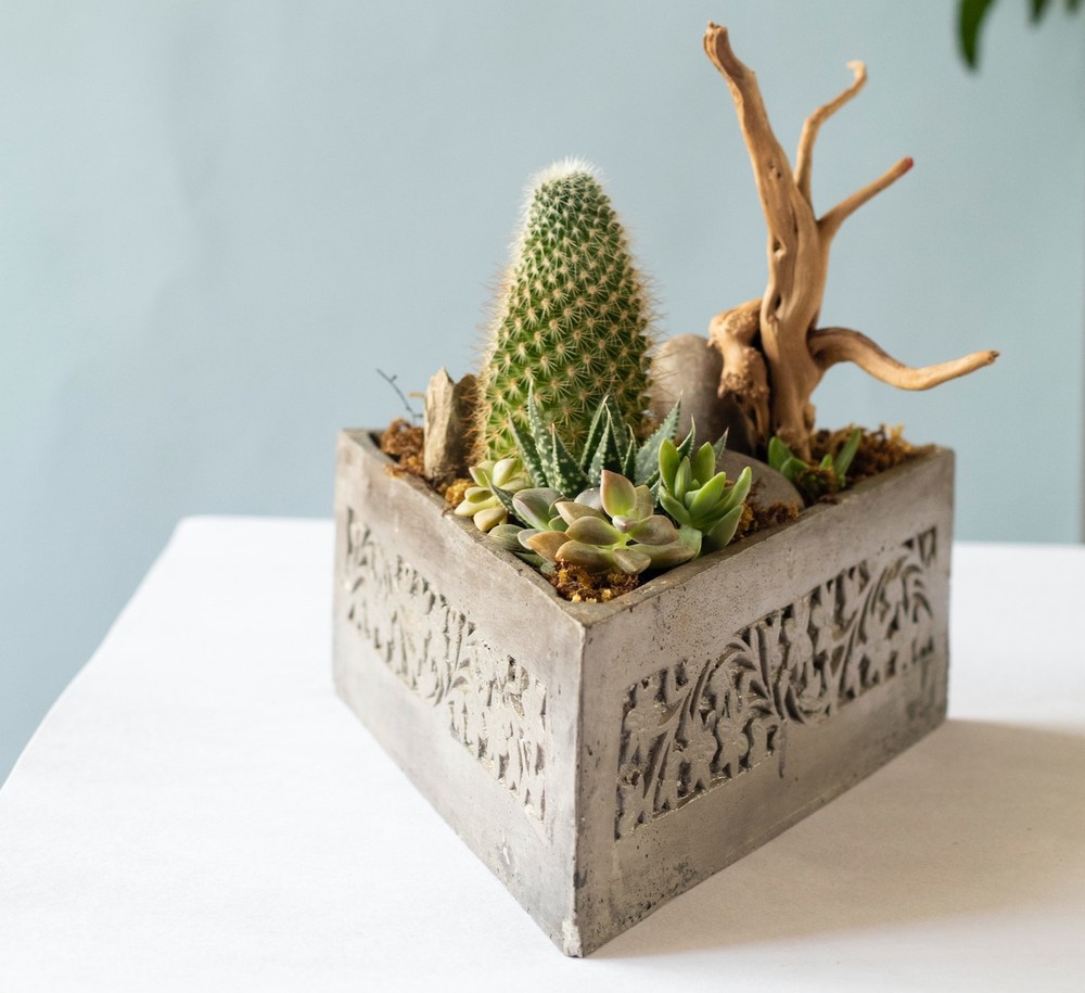 Como montar um mini jardim ou terrário de cactos e suculentas sem erro ...