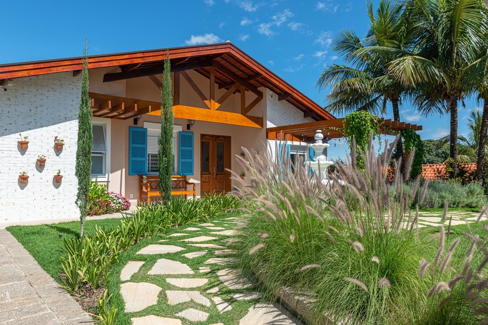 Cipreste italiano: conheça o icônico pinheiro que atinge até 30 metros ...