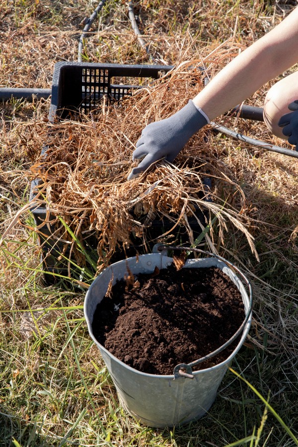 Compostagem: o que é, benefícios ao meio ambiente e como fazer ...