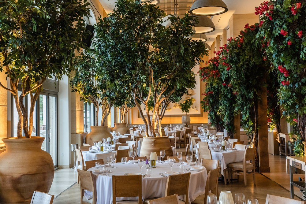 Onde comer em Miami? 5 restaurantes diferentes para conhecer na cidade!