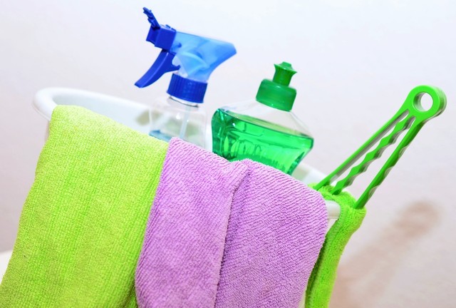 Quais produtos de limpeza eliminam bactérias? Especialistas dão dicas!