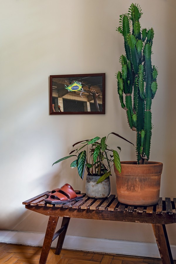12 ideias de decoração com cactos dentro de casa para se inspirar