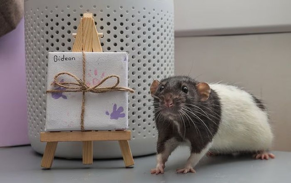 Garota de 18 anos ganha dinheiro na internet com venda de pinturas ...