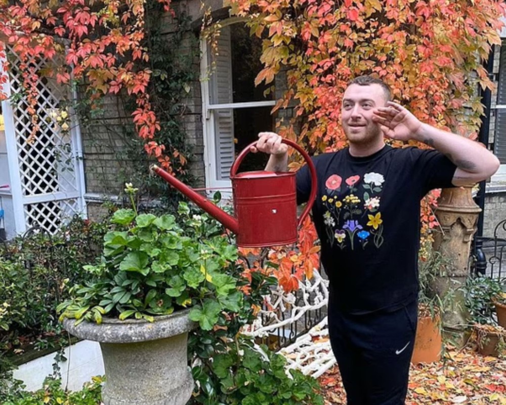 Sam Smith mora em mansão de R$ 74 milhões em Londres; veja jardim e ...