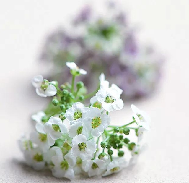 Conheça 13 flores comestíveis para incluir em pratos doces e salgados