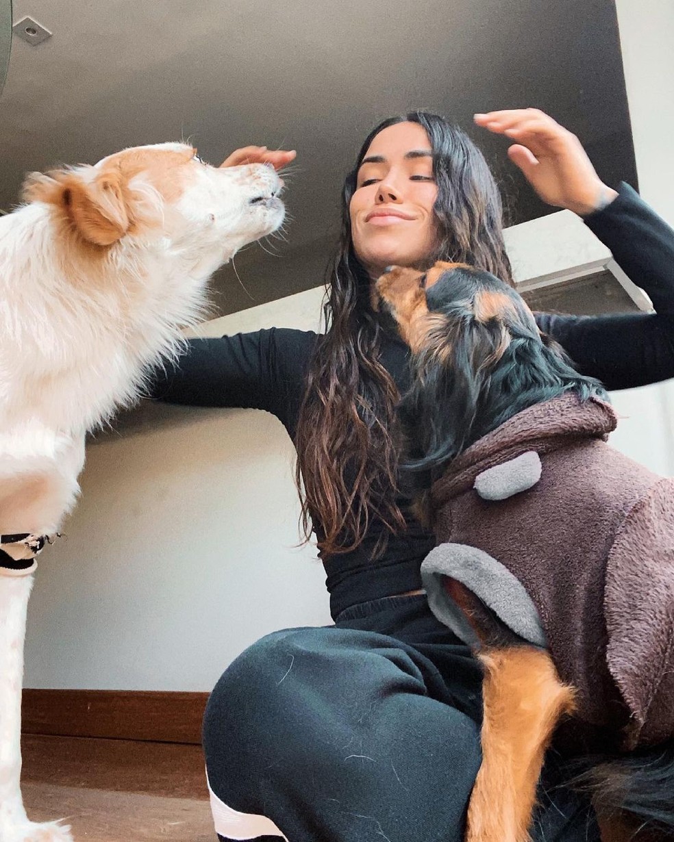 'Sinto quando quer interagir ou não': Maria Venture tem cobra de ...