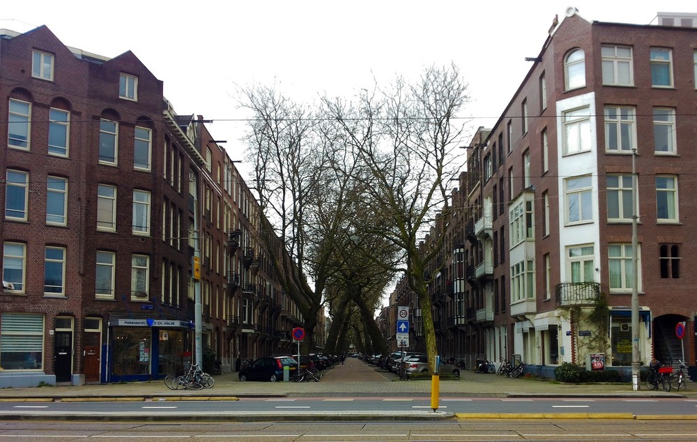 Lomanstraat: a rua em Amsterdã onde as árvores se curvam e formam um ...