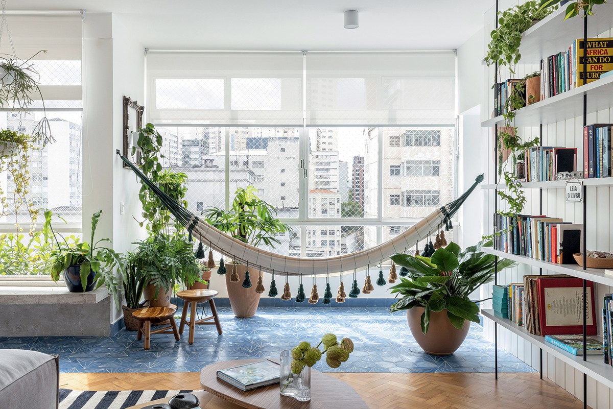 Plantas para salas pequenas: 10 espécies indicadas e 20 projetos para ...