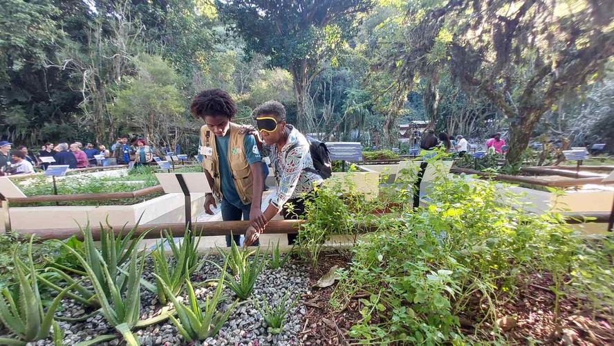 Jardim Botânico do RJ reabre área para experiências multissensoriais ...