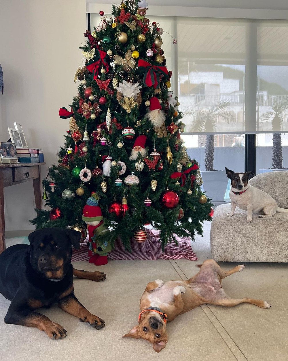 Então é Natal! 10 árvores de celebridades para se inspirar ...