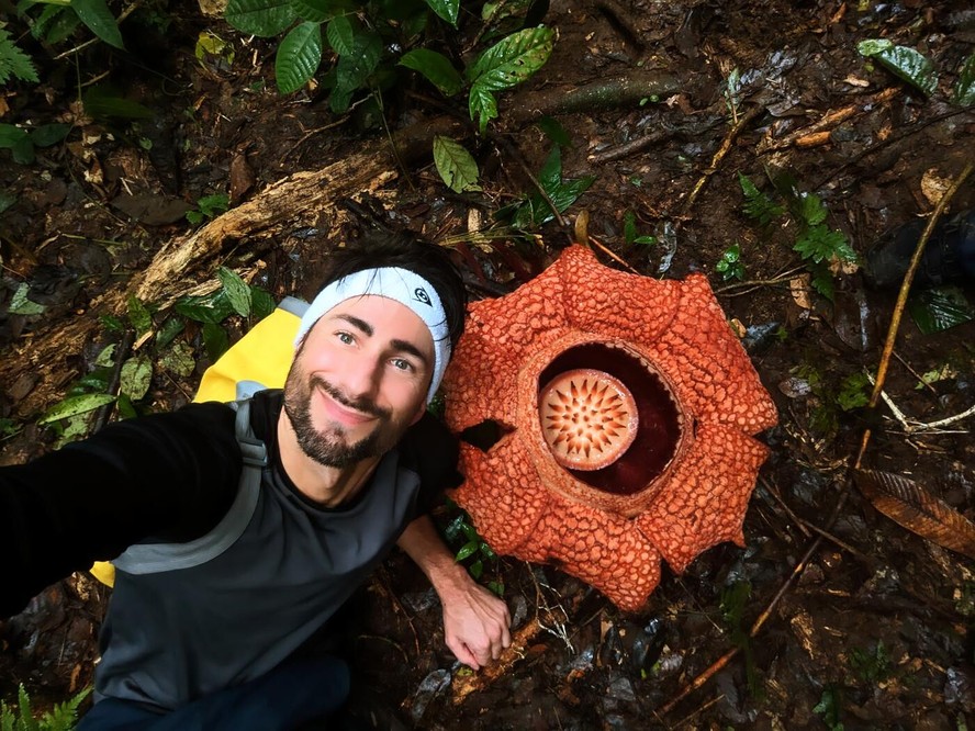 Botânico luta para salvar a maior flor do mundo, que cheira a carne podre