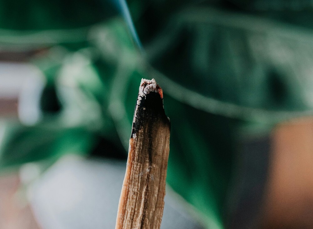 Palo santo: descubra as propriedades, os benefícios e como usá-lo