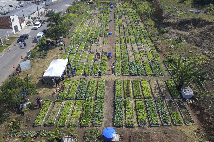 7 exemplos de hortas urbanas bem-sucedidas espalhadas pelo Brasil