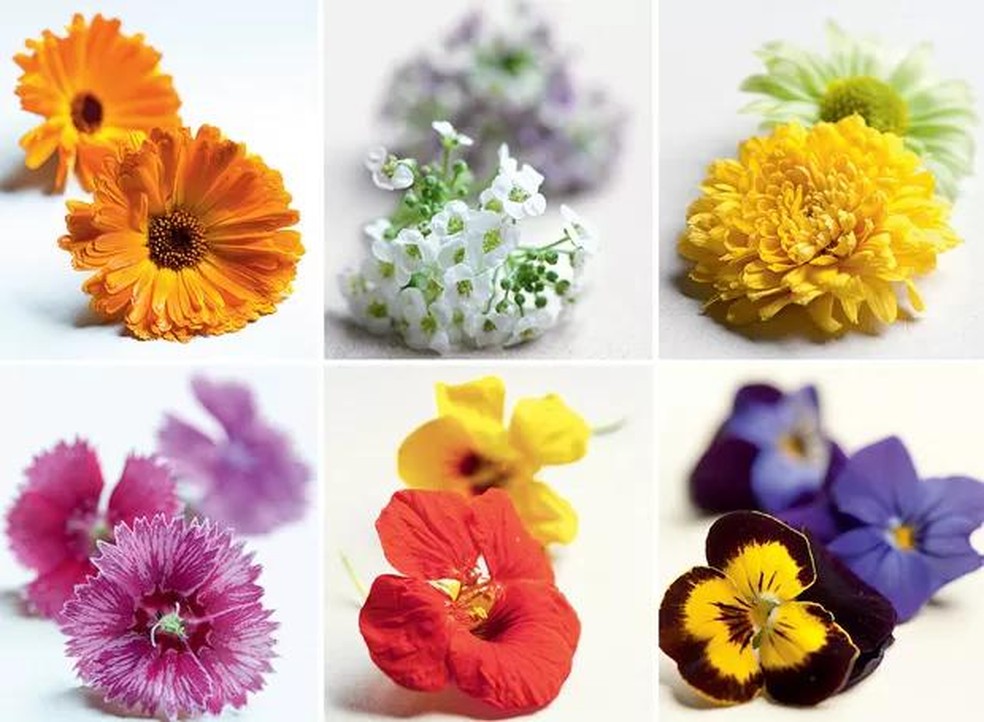 Conheça 13 flores comestíveis para incluir em pratos doces e salgados