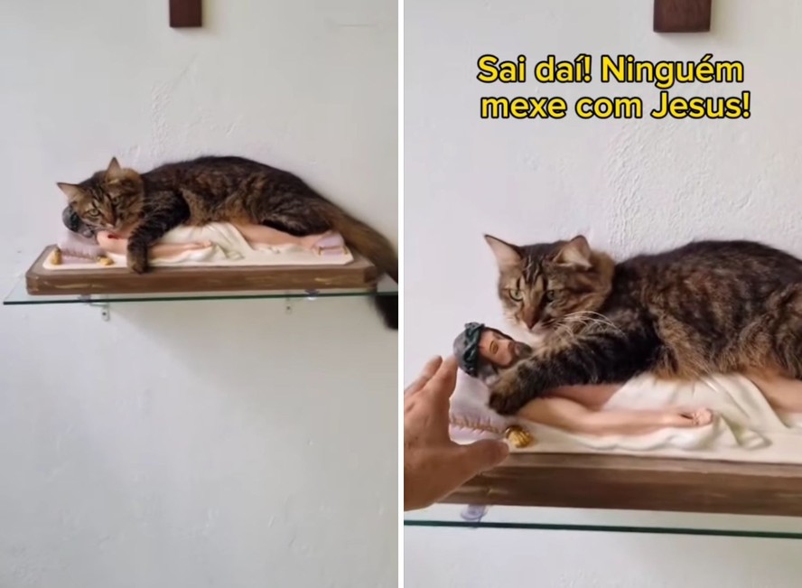 "Gatólico": felino se apega a imagem de Jesus Cristo e não deixa ...