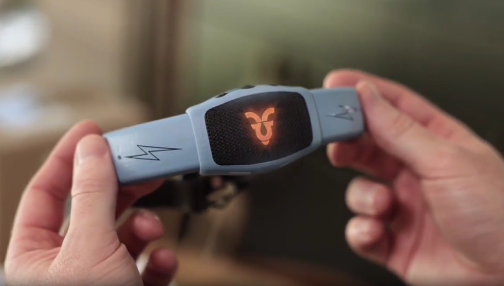 Novo gadget com IA permite que os 'pets falem' com uma coleira ativada ...