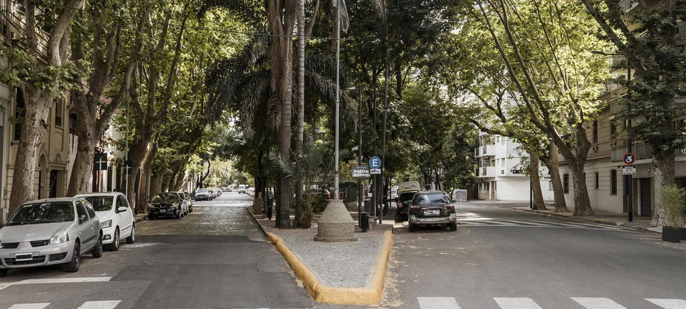 Arborização urbana: como e por que plantar árvores em calçadas?